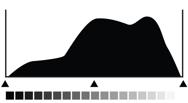 How to Use Histograms – ACDSee Community