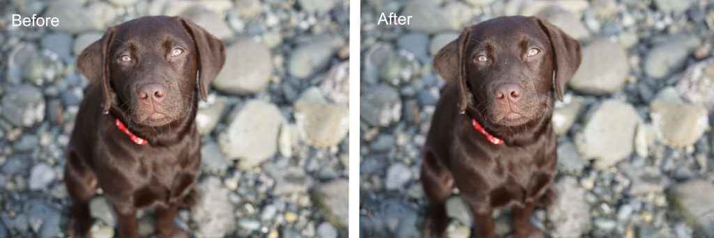 6 of the best editing tips! – ACDSee Community