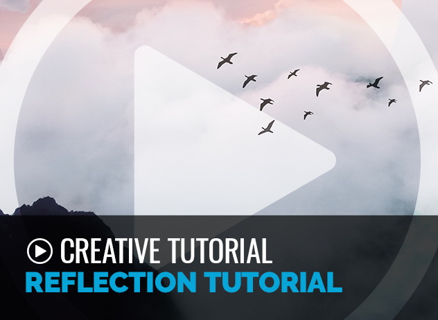 ACDSee Video Tutorials